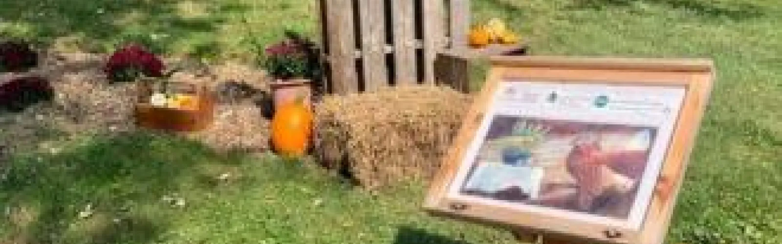 Home Page | Coshocton County District Library